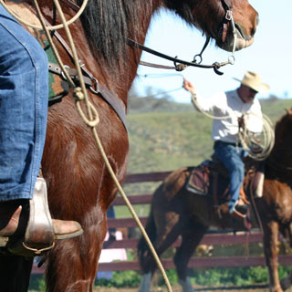 Home - Dude Ranch Foundation