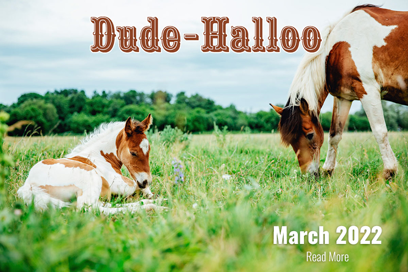 Dude-Halloo - Dude Ranch Foundation